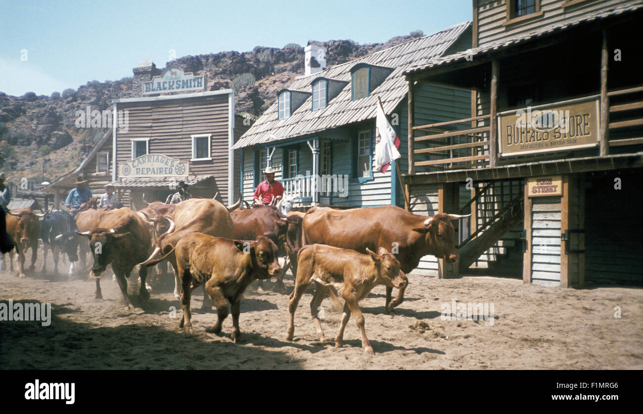 COWBOYS DRIVING CATTLE Stock Photo - Alamy
