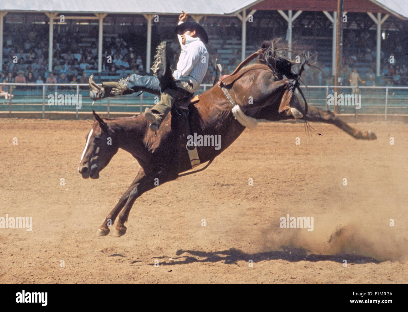 AMERICAN RODEO. Photo Arizona Travel Bureau Stock Photo - Alamy