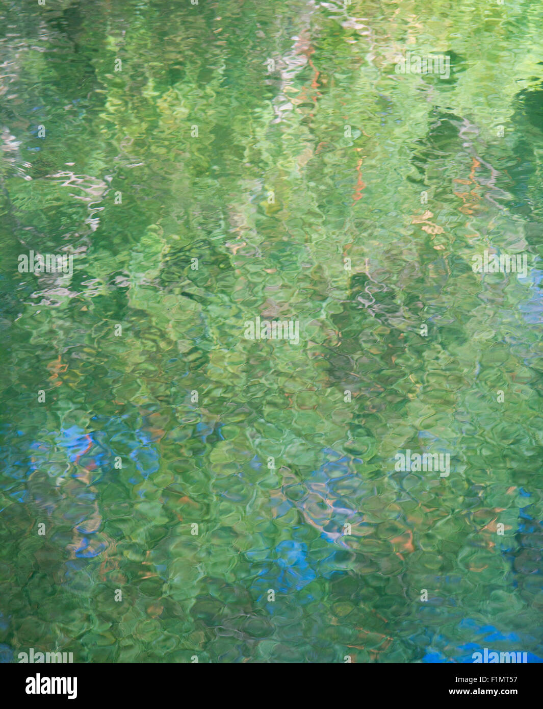 Trees reflected in water Stock Photo - Alamy