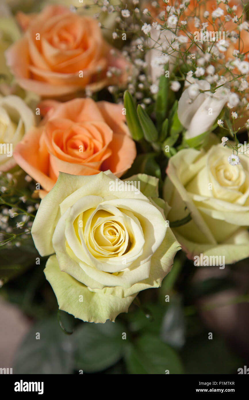 A light yellow rose in a bouquet with orange and yellow roses with ...