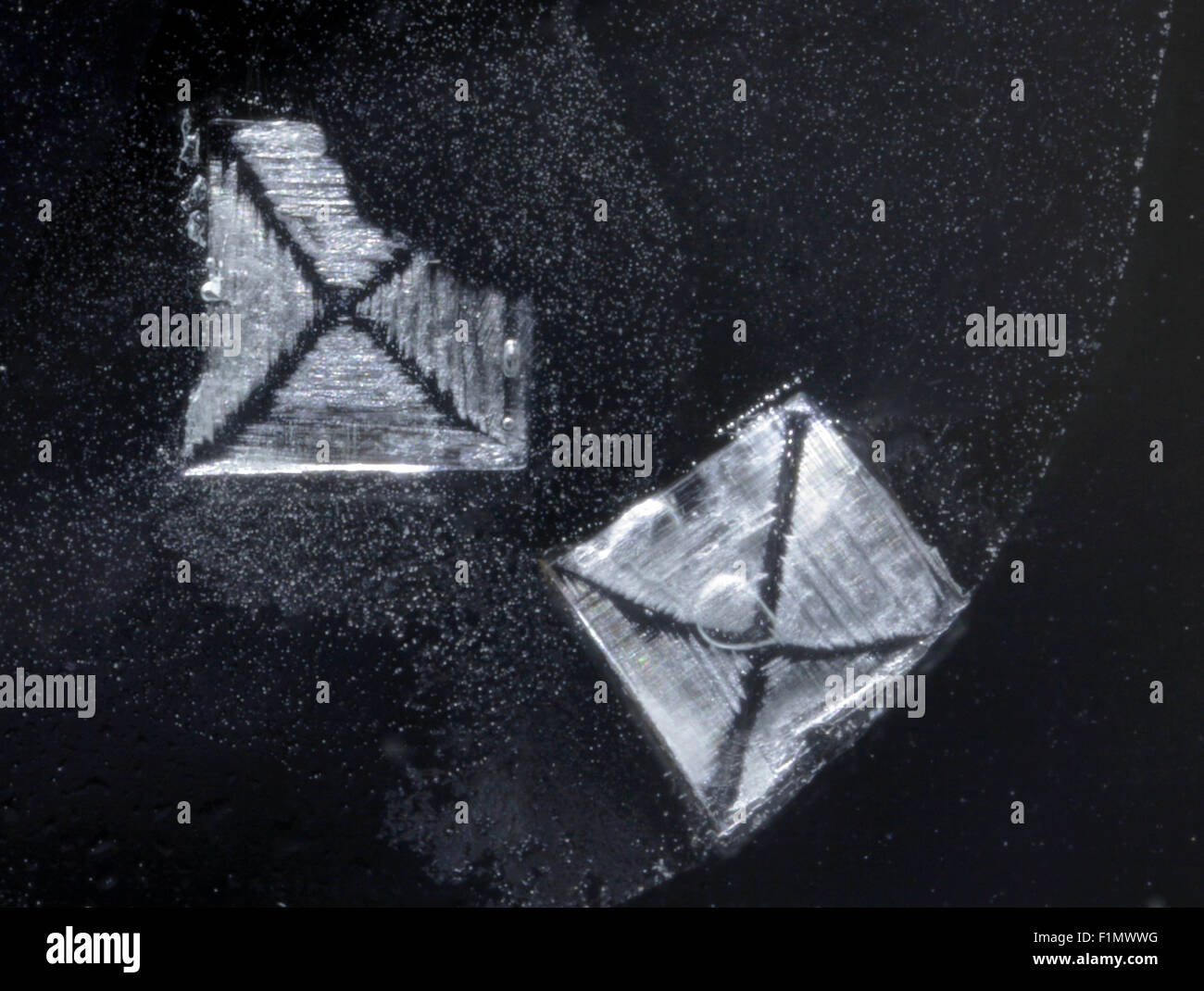 macrophoto of kitchen salt crystals dissolving in water. The horizontal ...