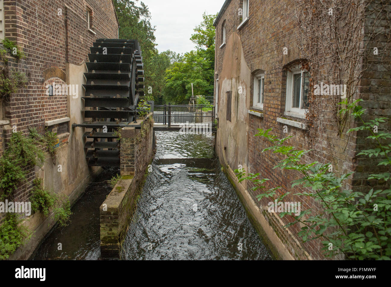 Morden Hall Park, Morden, Surrey. 4th September 2015. The National ...