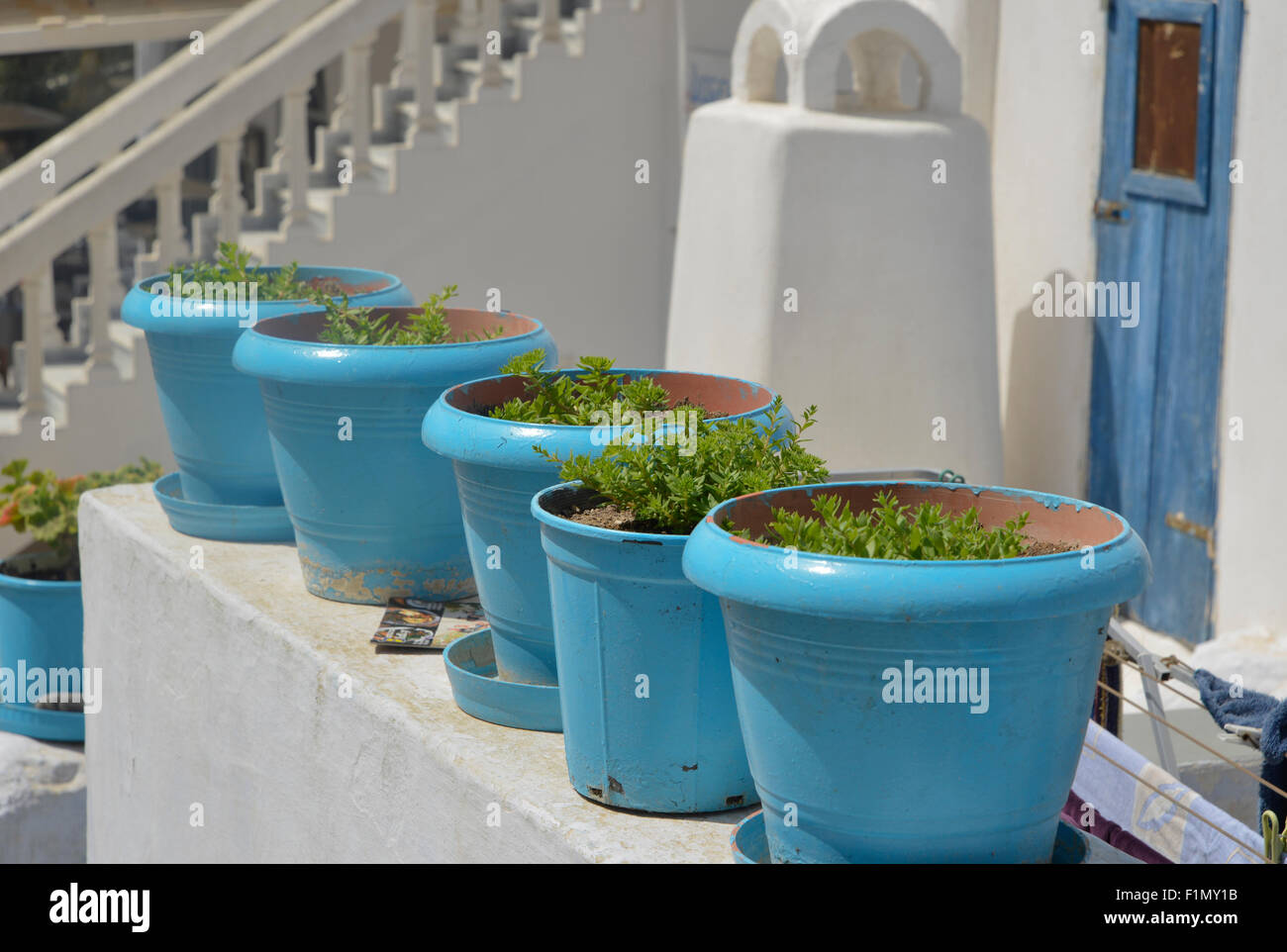 blue pots, Santorini Greece Stock Photo - Alamy