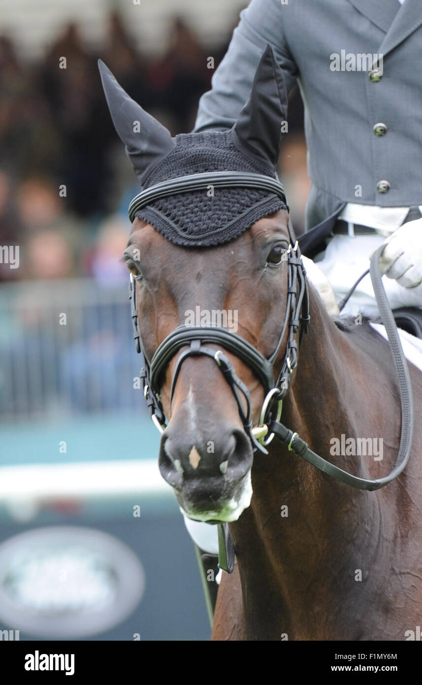 Stamford, UK. 4th September, 2015. Land Rover Burghley Horse Trials ...