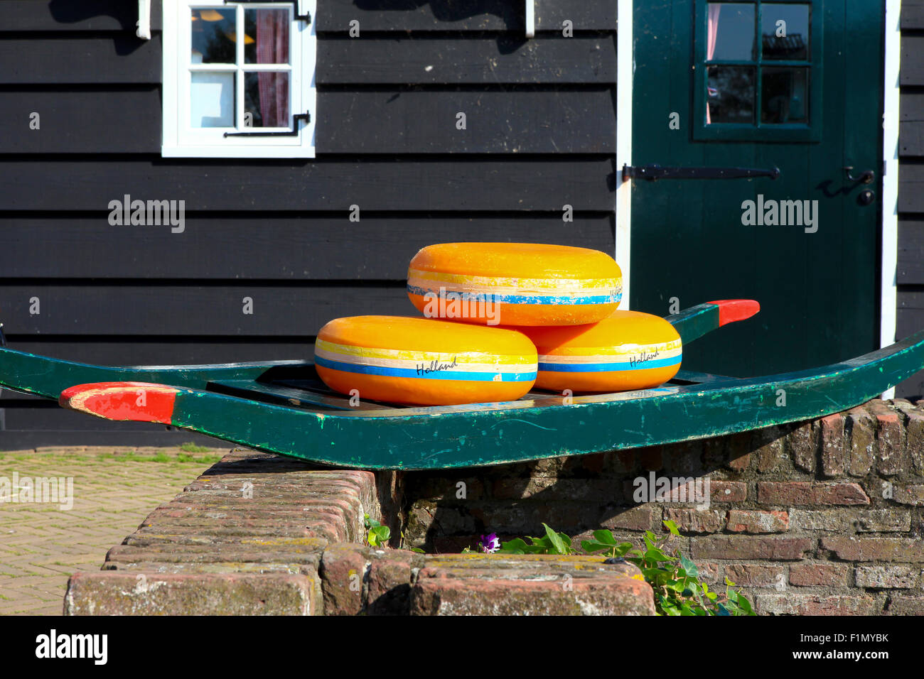 Dutch Cheese wheels on a green cart with farm house in the background ...