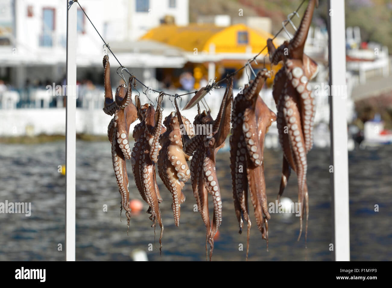 Calamari greece hi-res stock photography and images - Alamy