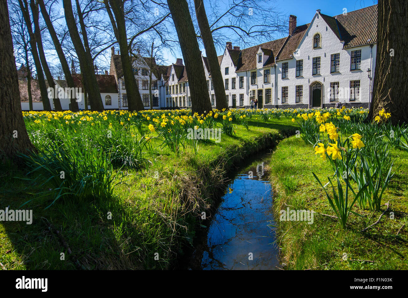 St. Andrew's Abbey in Bruges Stock Photo - Alamy