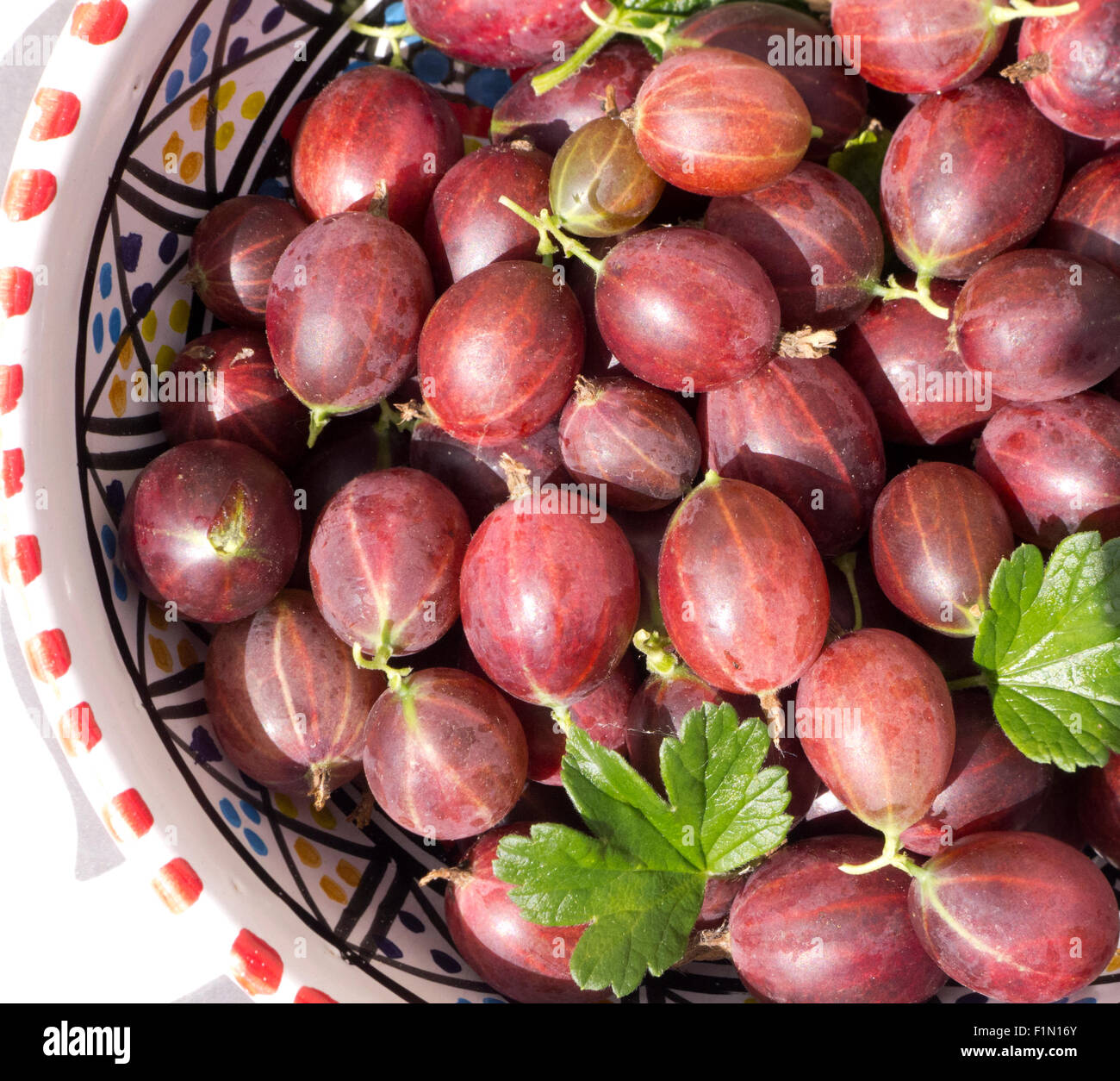 red gooseberries in bowl Stock Photo - Alamy