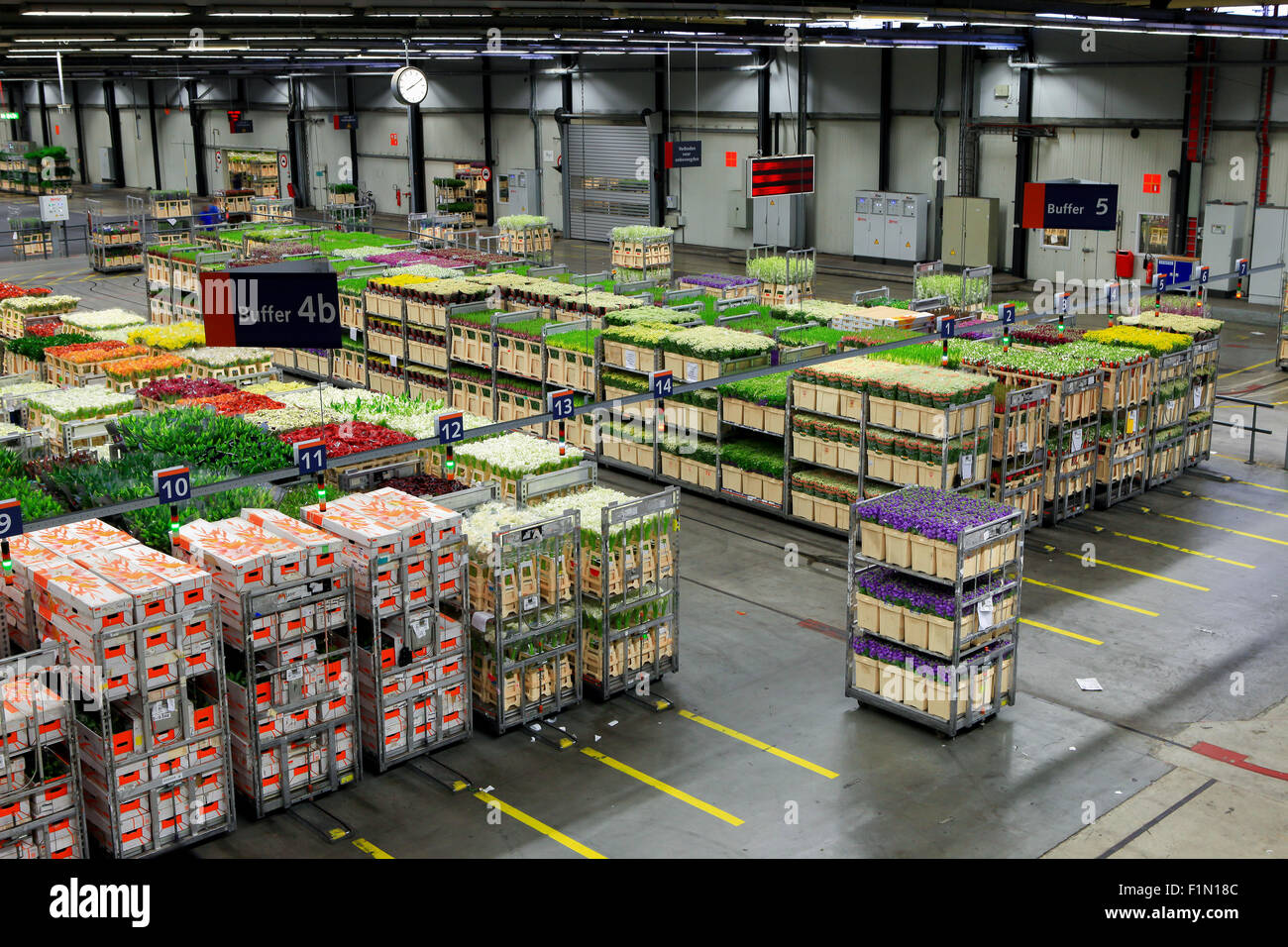 Flower hub hi-res stock photography and images - Alamy