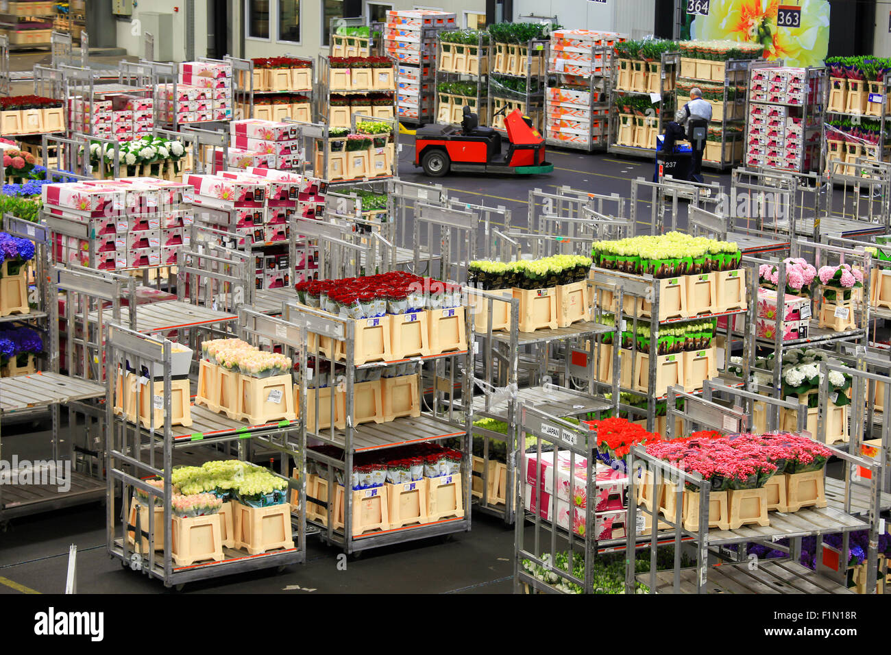 Flower hub hi-res stock photography and images - Alamy