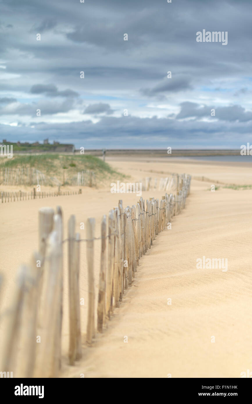 Sandy beach in Sunderland Stock Photo - Alamy