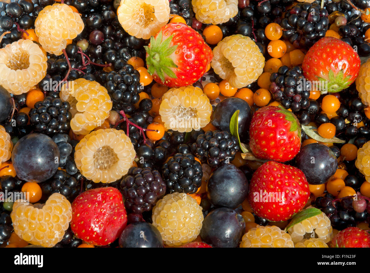 mixed colors summer fruit Stock Photo - Alamy