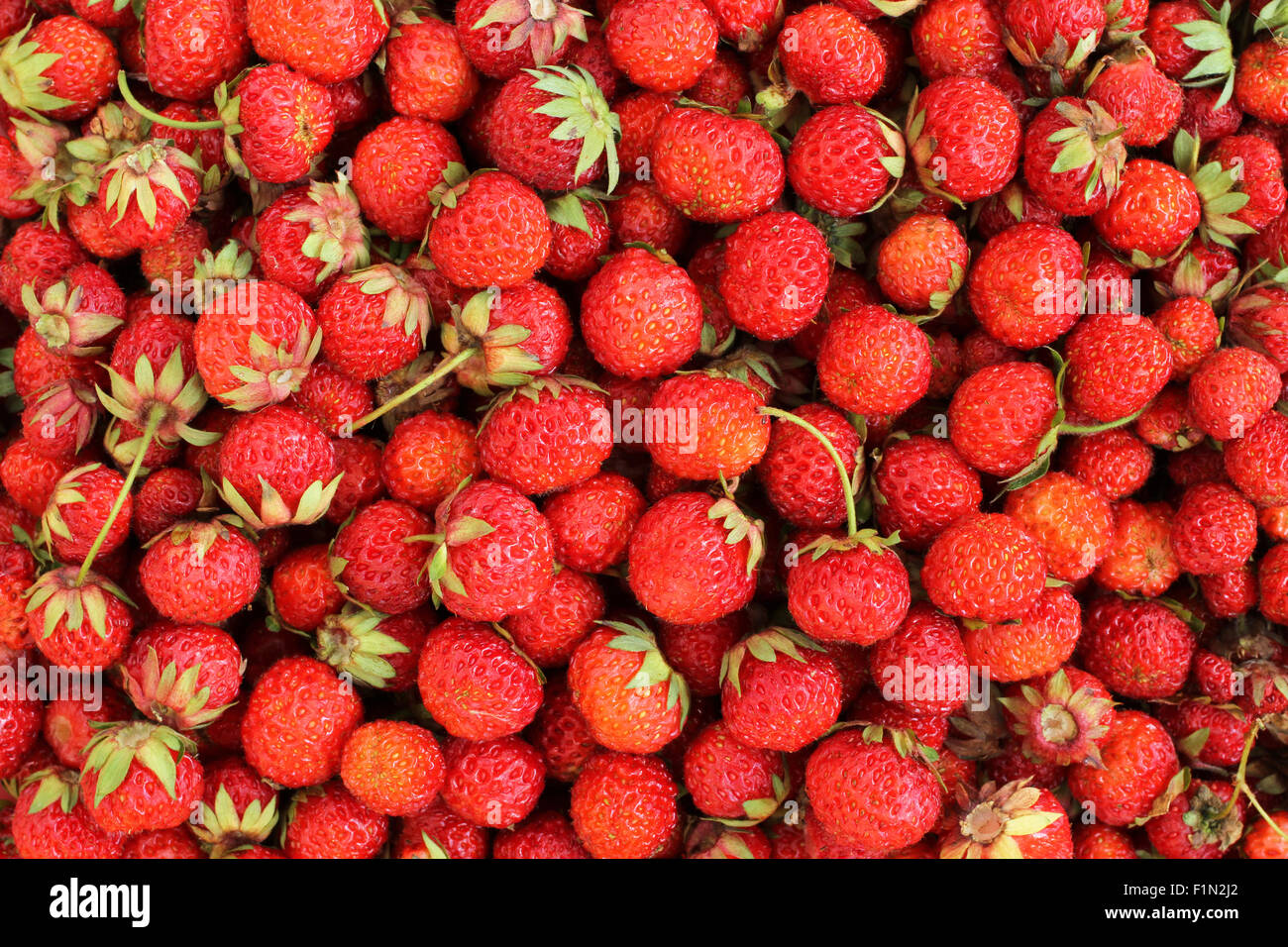 Pine strawberry background Stock Photo - Alamy