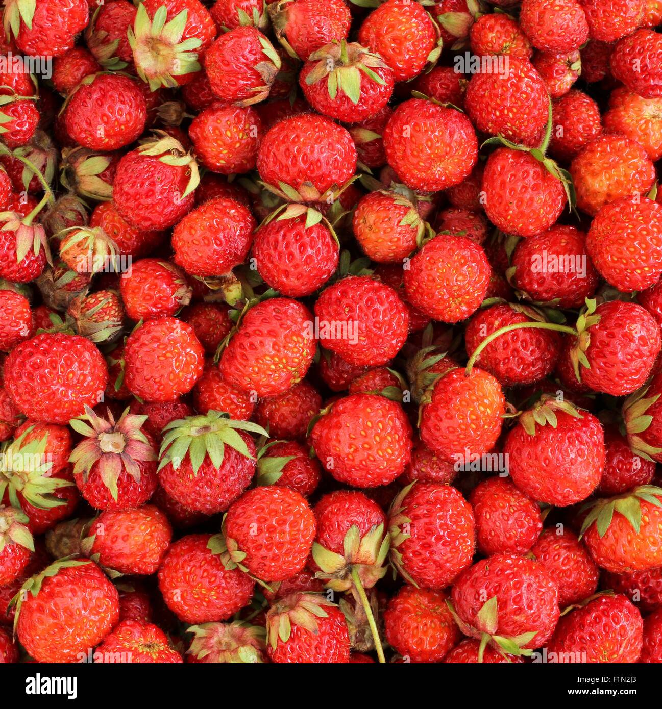 Pine strawberry background Stock Photo - Alamy