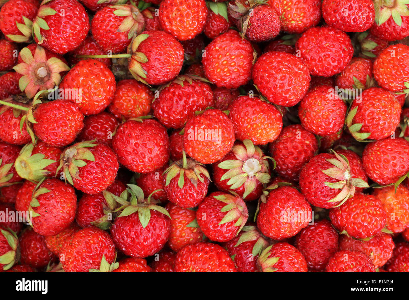 Pine strawberry background Stock Photo - Alamy