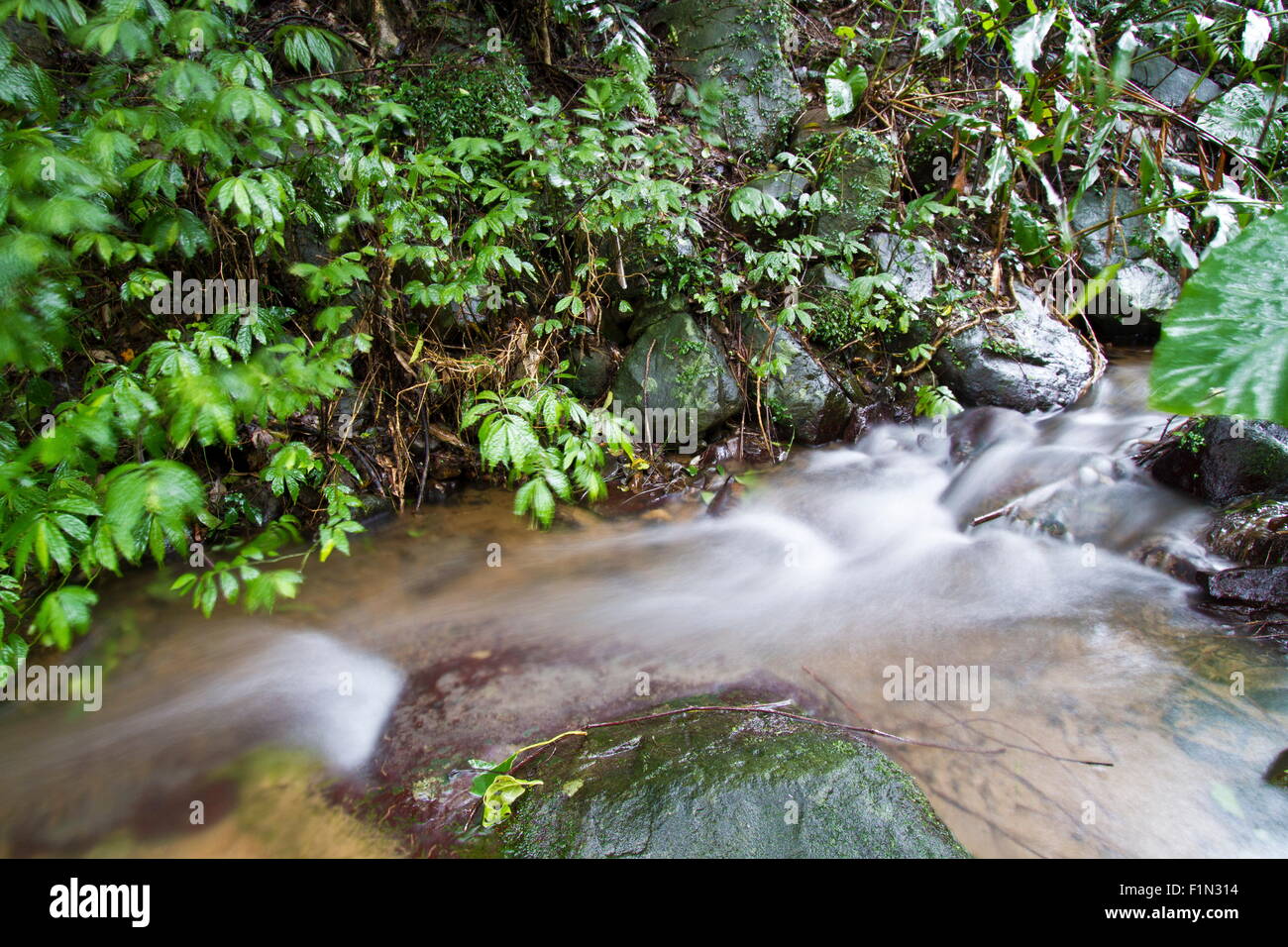 Datun mountains hi-res stock photography and images - Alamy