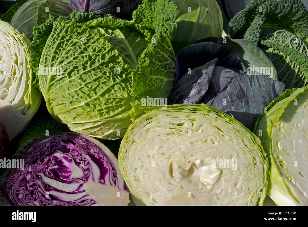 assortment green and red cabbage Stock Photo - Alamy