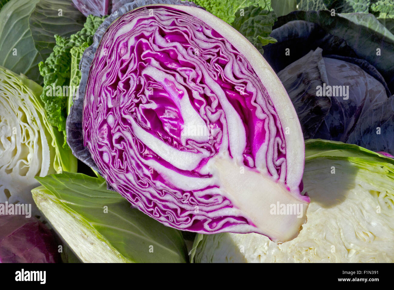 assortment green and red cabbage Stock Photo - Alamy