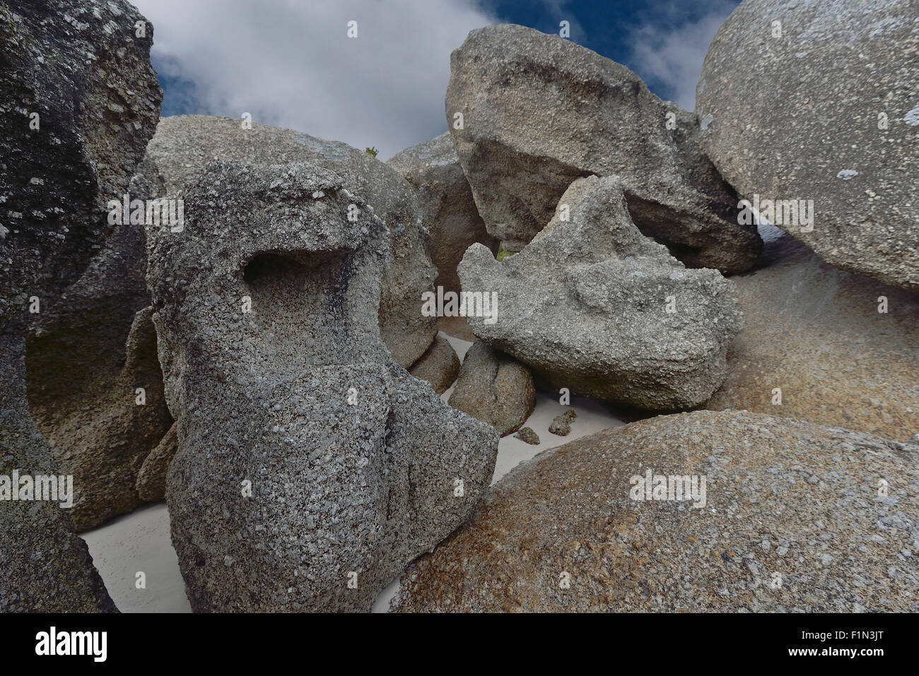 South Africa, Boulders beach Stock Photo - Alamy