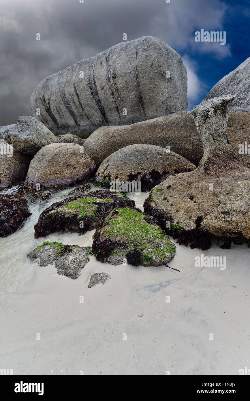 South Africa, Boulders beach Stock Photo - Alamy
