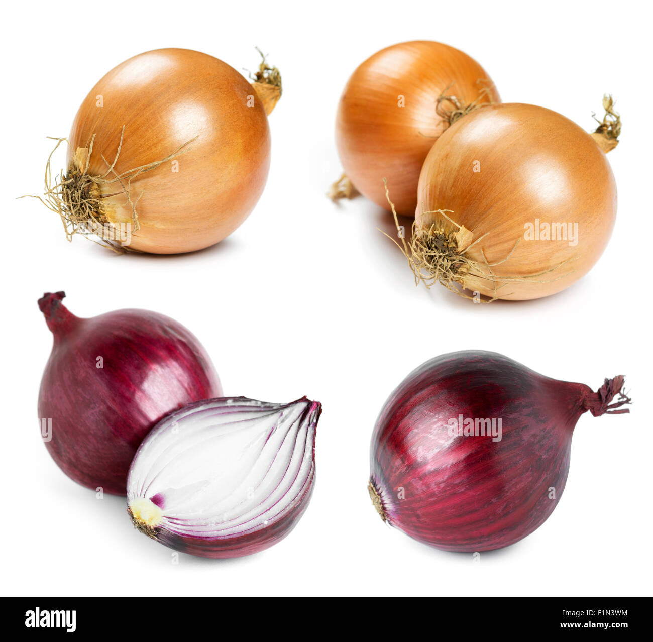 Ripe onion on white background Stock Photo - Alamy