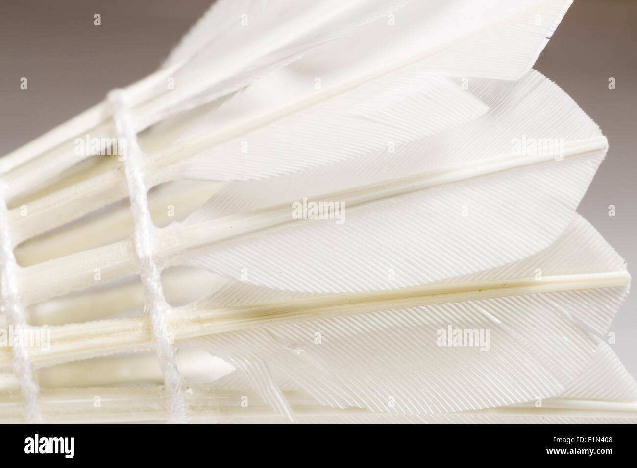 Feathered White Shuttlecock. Macro image Stock Photo - Alamy