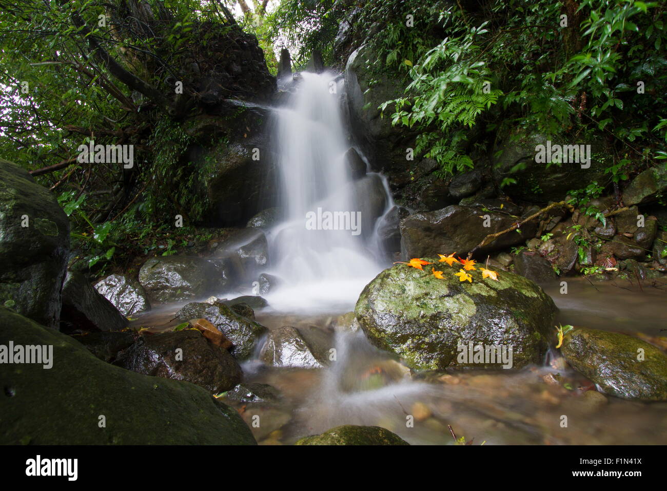 natural majestic waterfall in Taiwan Stock Photo - Alamy