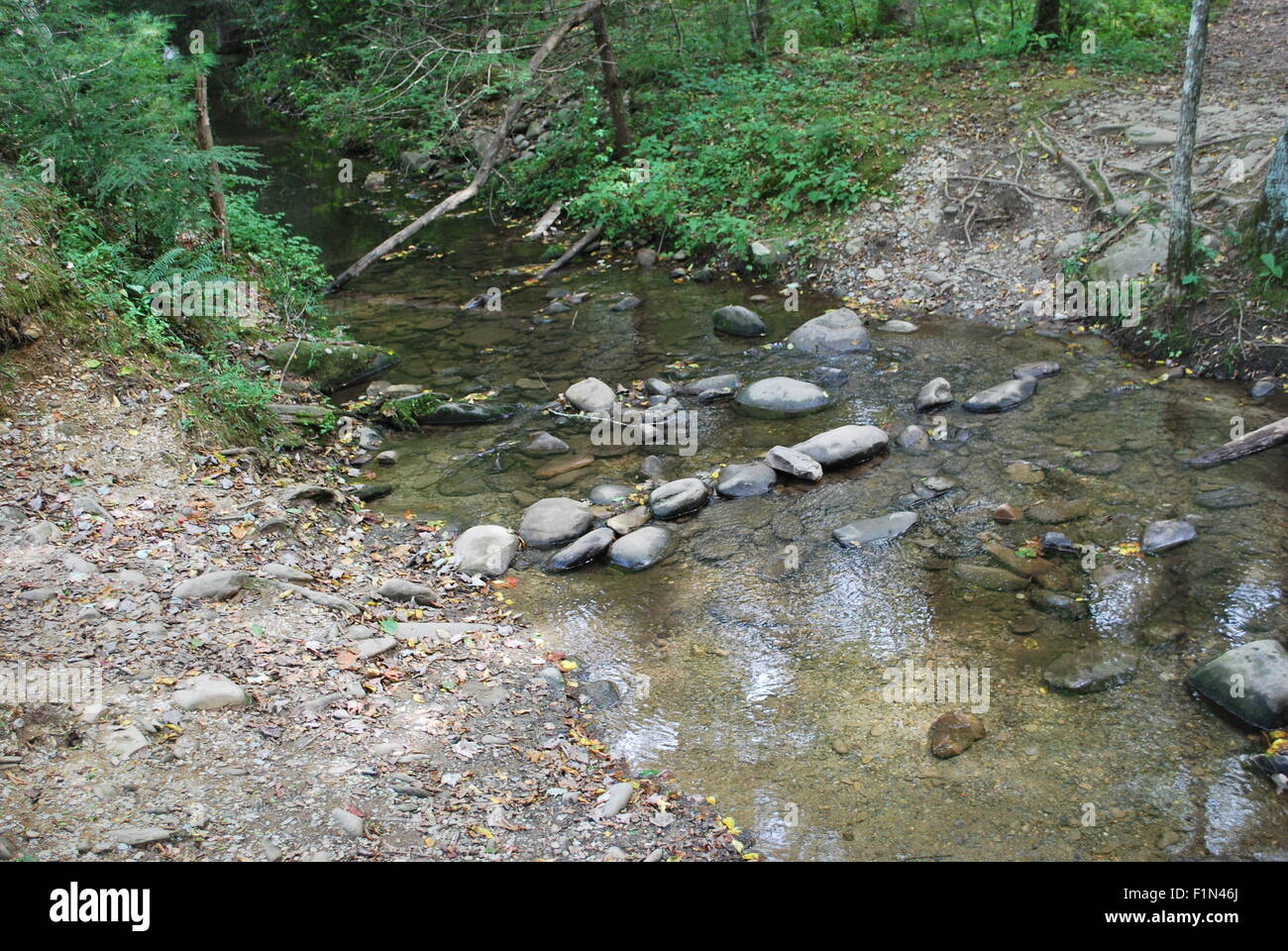 A small mountain stream with a rock path Stock Photo - Alamy