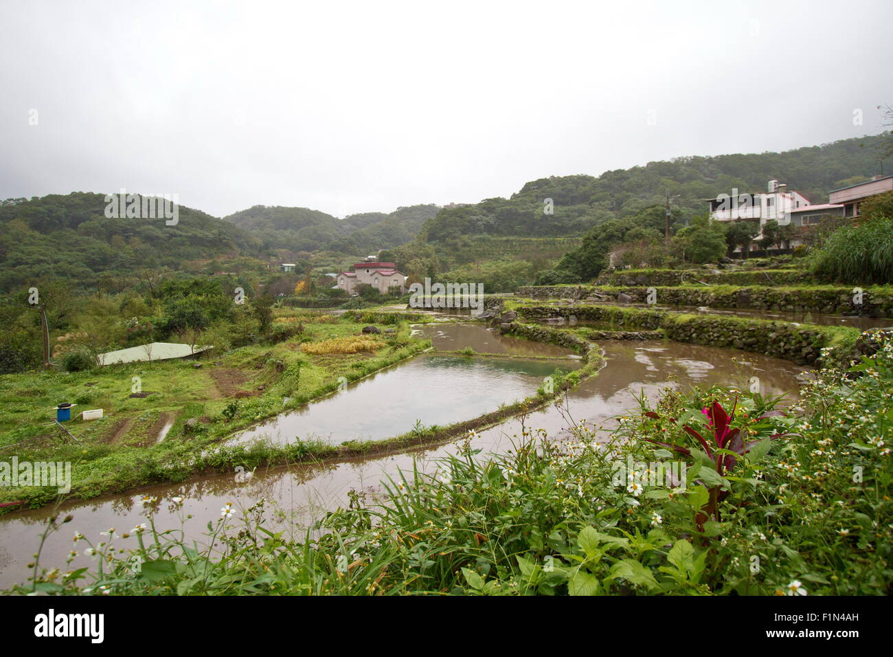 Field scenery field hi-res stock photography and images - Alamy