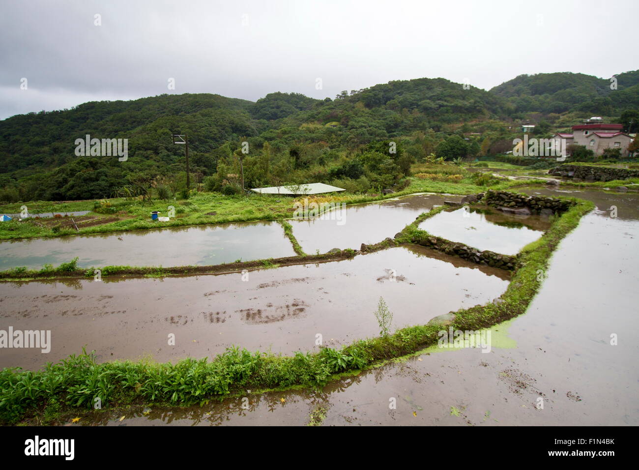 Field scenery field hi-res stock photography and images - Alamy