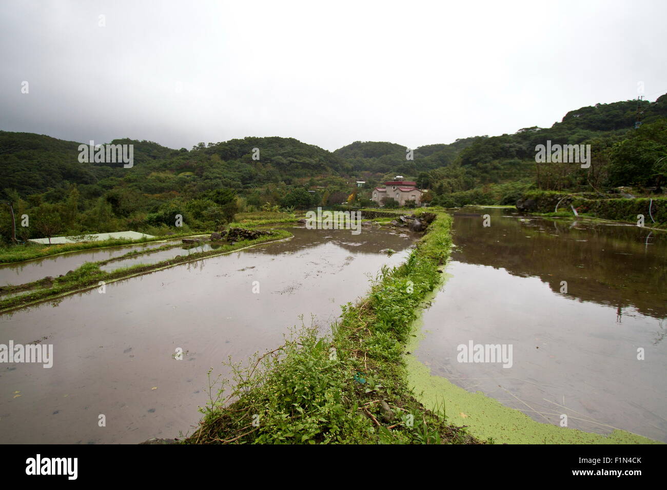 Terraced field hi-res stock photography and images - Alamy