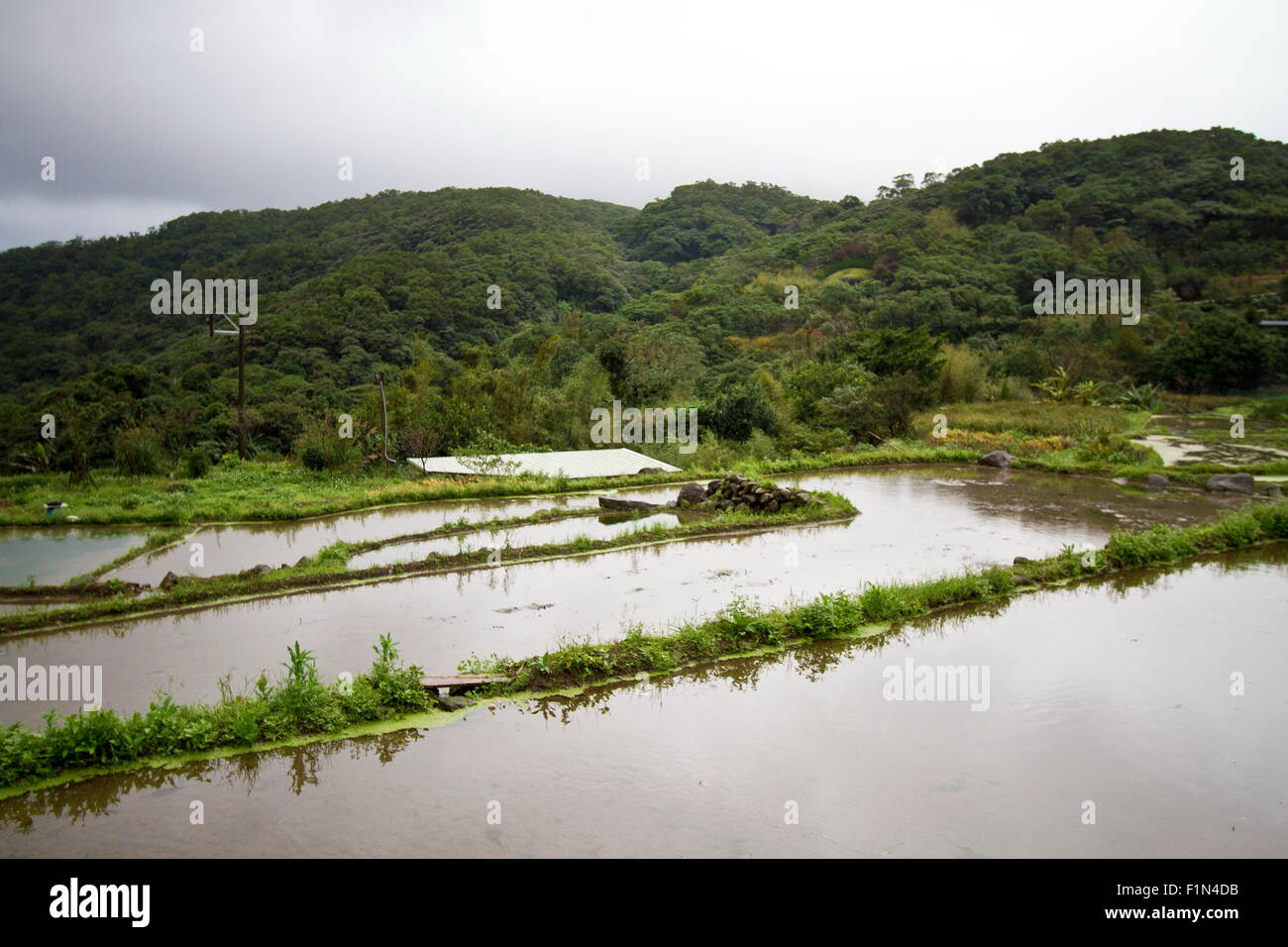 Field scenery field hi-res stock photography and images - Alamy