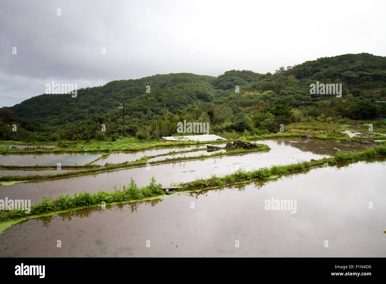 Field scenery field hi-res stock photography and images - Alamy