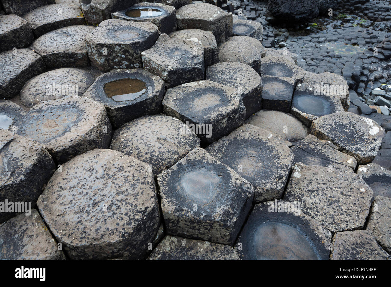 Tidal pool and basalt columns at Giant's Causeway, County Antrim ...