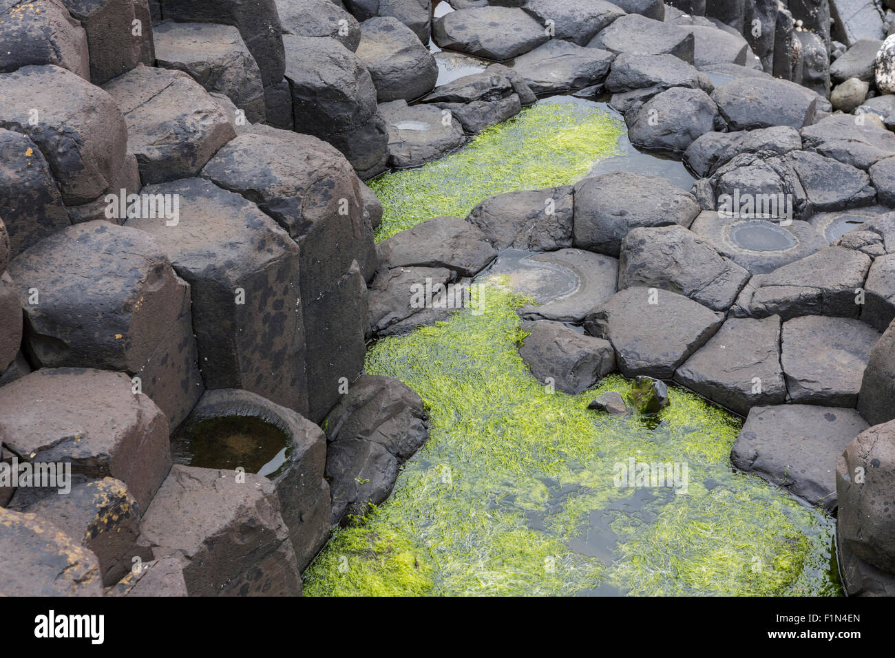 Tidal pool and basalt columns at Giant's Causeway, County Antrim ...