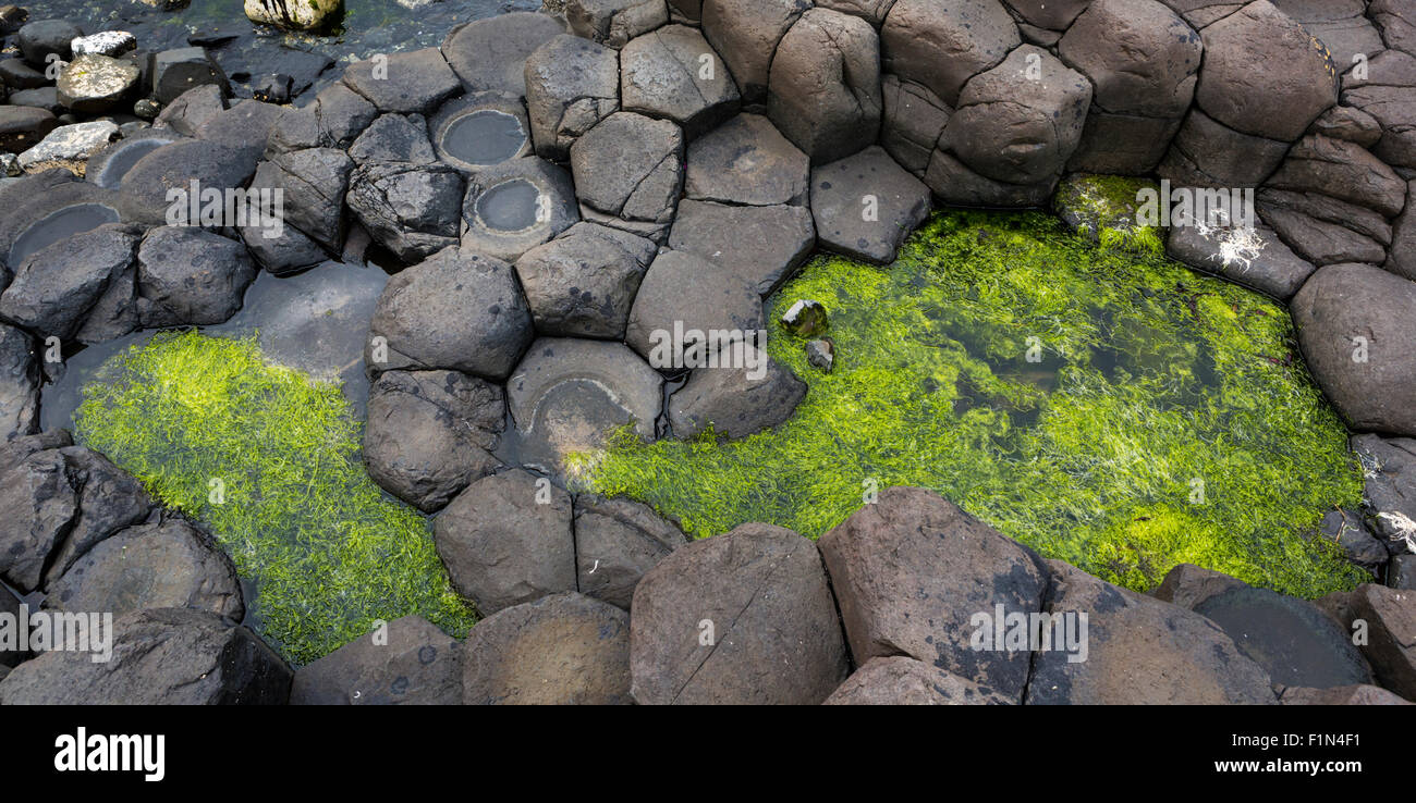 Tidal pool and basalt columns at Giant's Causeway, County Antrim ...