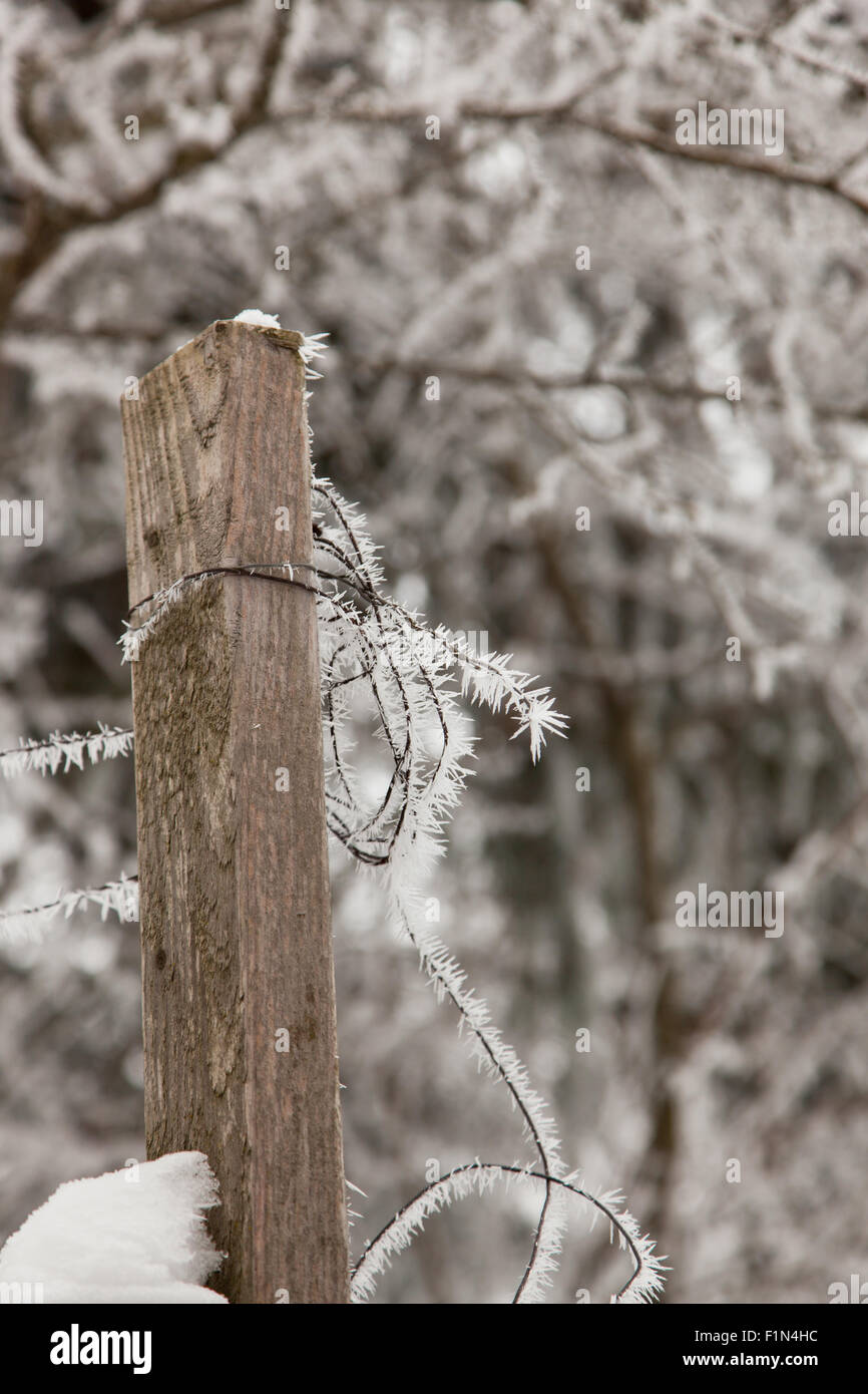A old wooden post with fence wire covered in spiky ice wrapped around ...