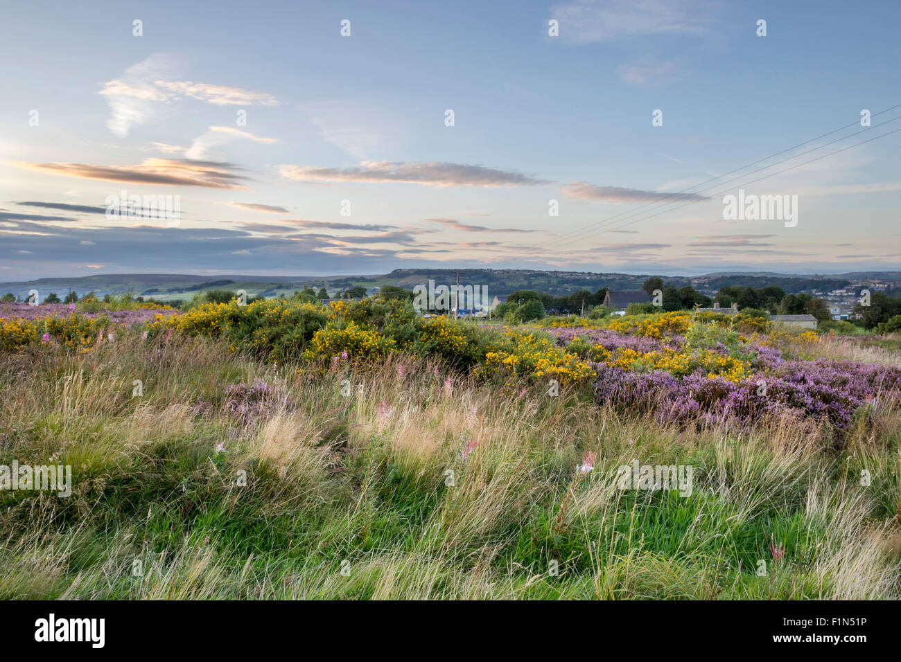 Norland moor hi-res stock photography and images - Alamy