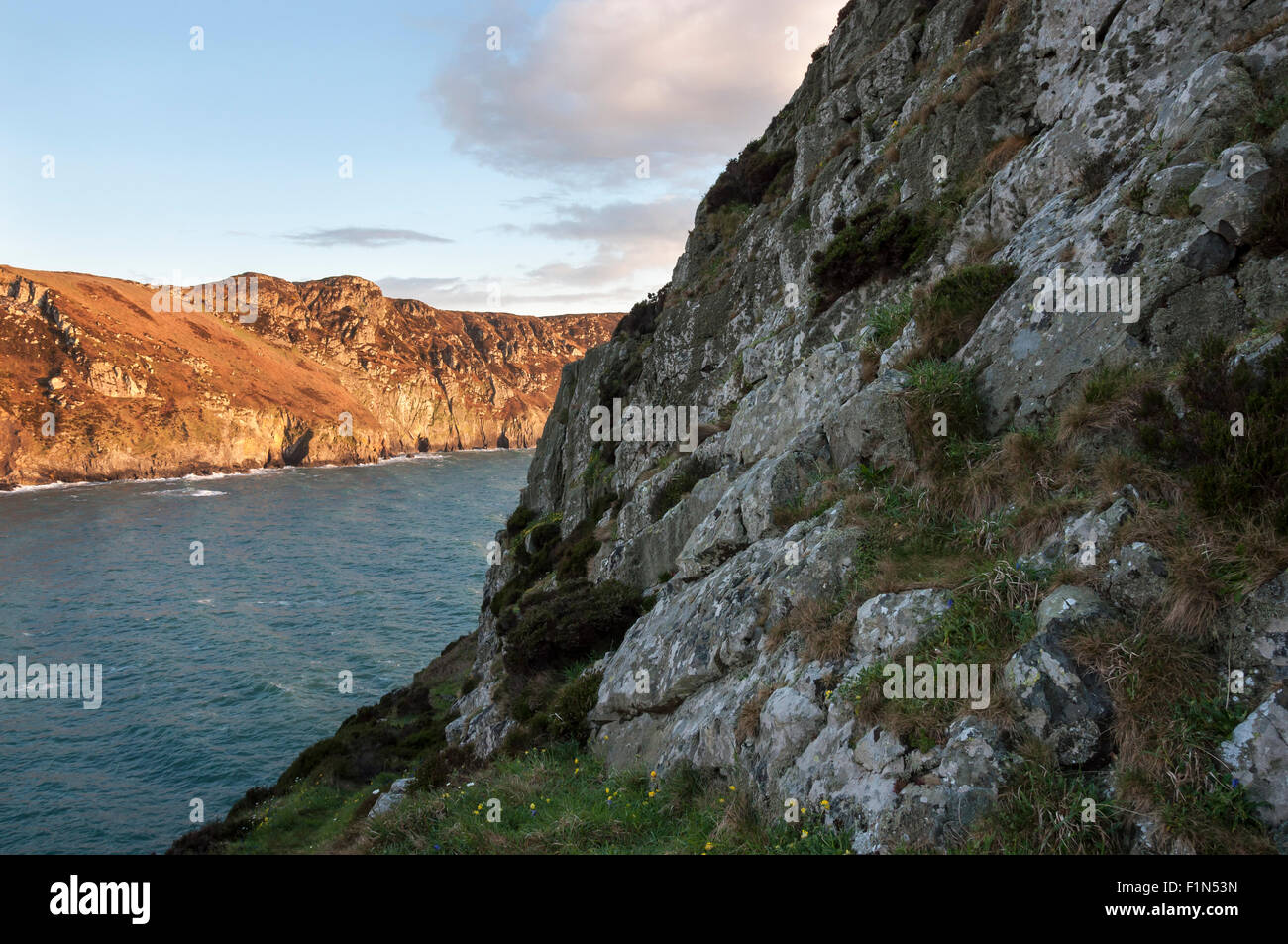 Ynys melyn hi-res stock photography and images - Alamy