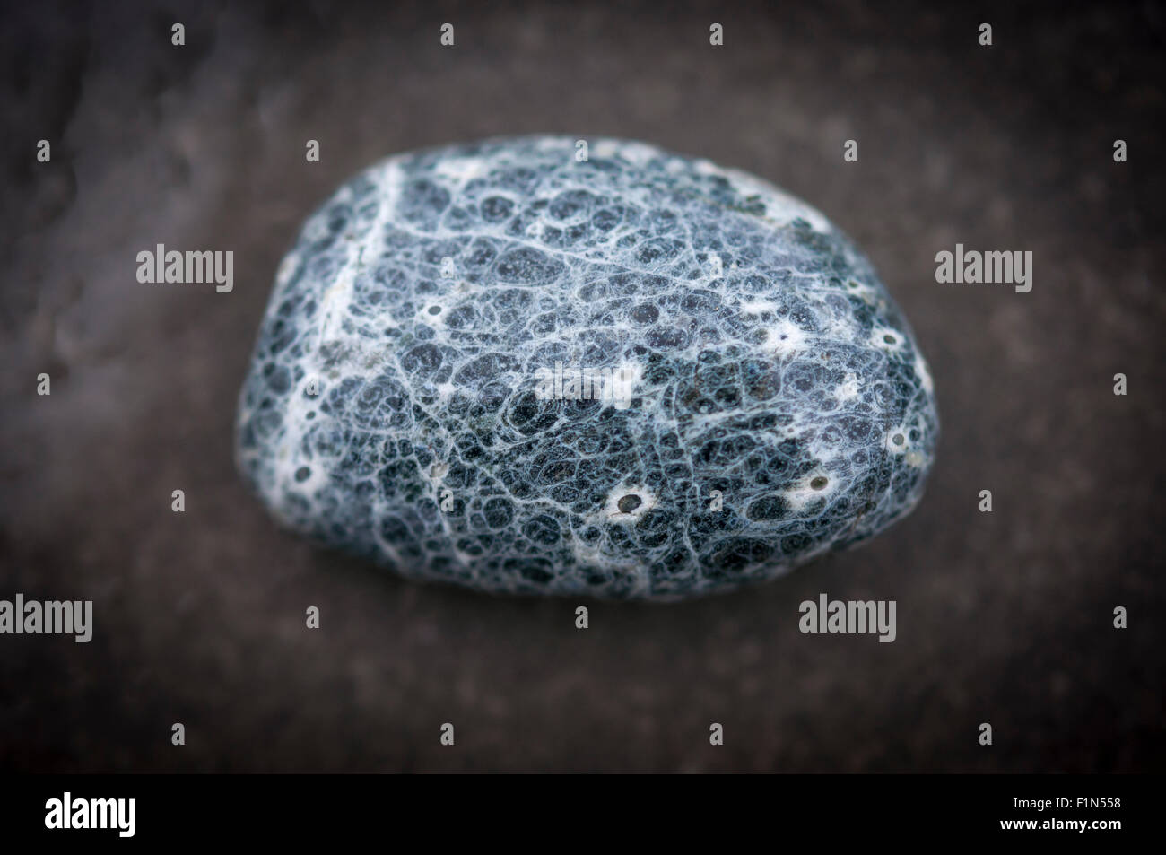 Pebble beach wales hi-res stock photography and images - Alamy