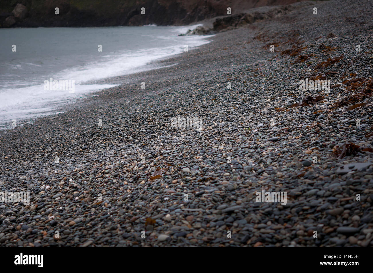 Abermawr, a pebbly beach in North Pembrokeshire. Shoreline of the steep ...