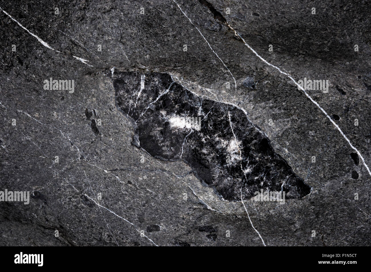 Lines of quartz in dark rocks on a Pembrokeshire beach Stock Photo - Alamy