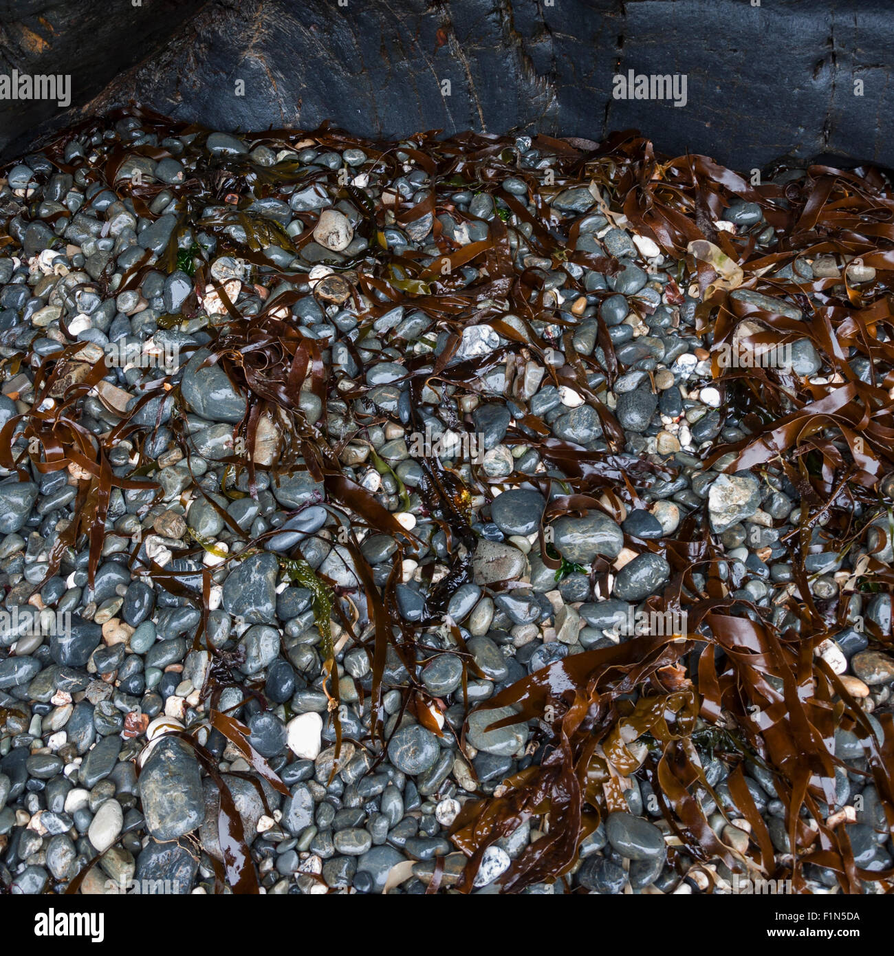 Shiny pebbles hi-res stock photography and images - Alamy