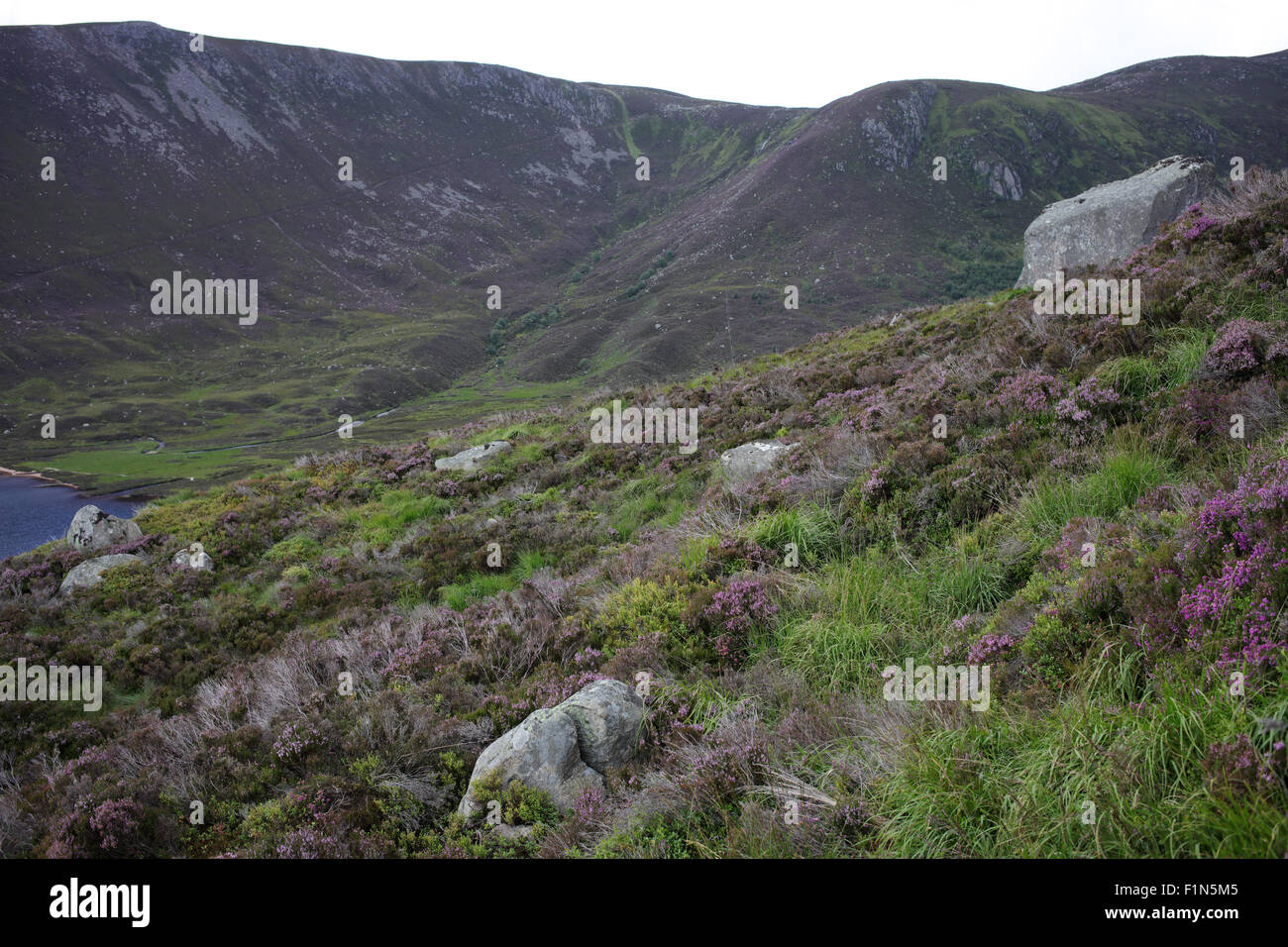 Views of loch Muick from path between Glas-allt Shiel house and the ...