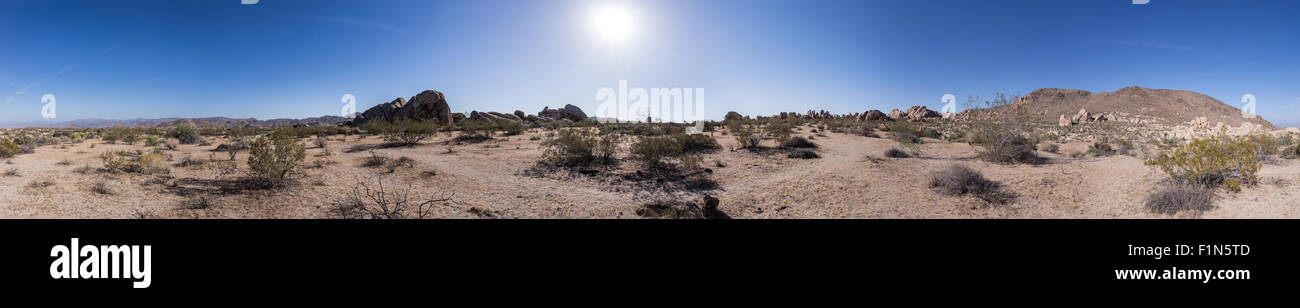 Jumbo tree hi-res stock photography and images - Alamy