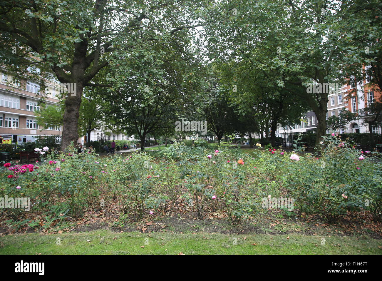 London Book Benches Stock Photo - Alamy