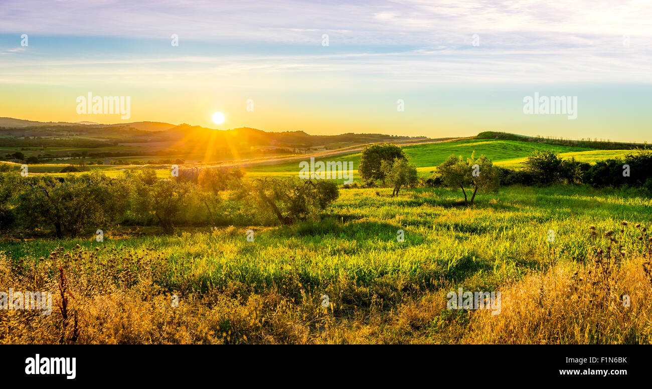 Sunrise over green tuscan hills in Italy Stock Photo - Alamy