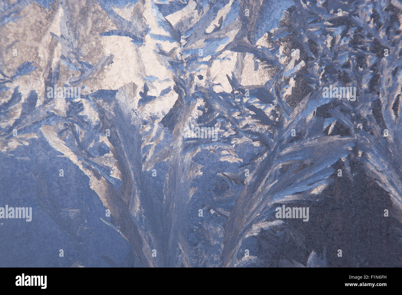 Heavy frost pattern spread across a window with a blue background Stock ...