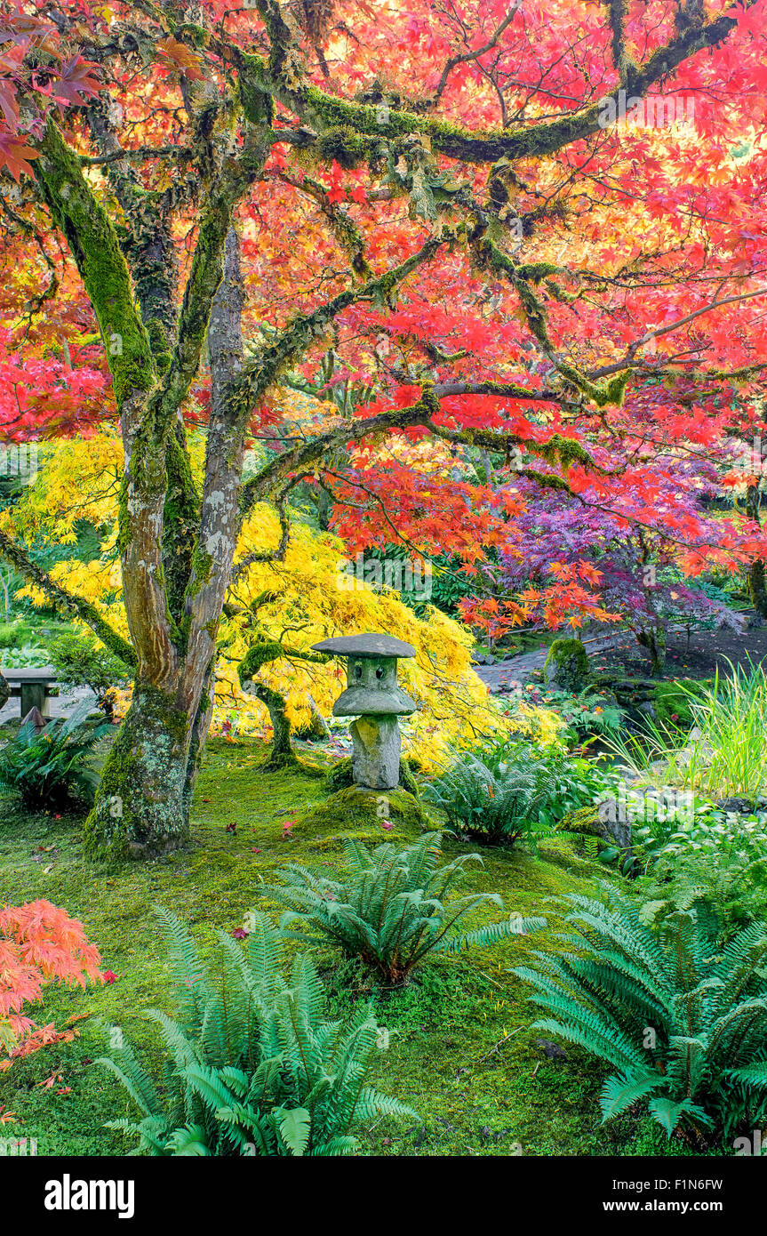 Butchart gardens japanese garden butchart gardens fall color colour hi ...