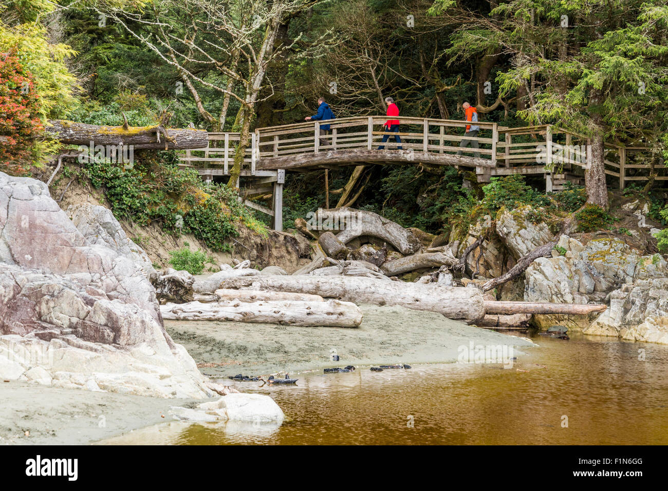 Bridge, Tonquin Beach Park, Tofino, British Columbia, Canada Stock ...